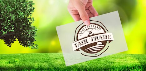 How fair is Fair Trade? A lot better than the alternative | Economy ...